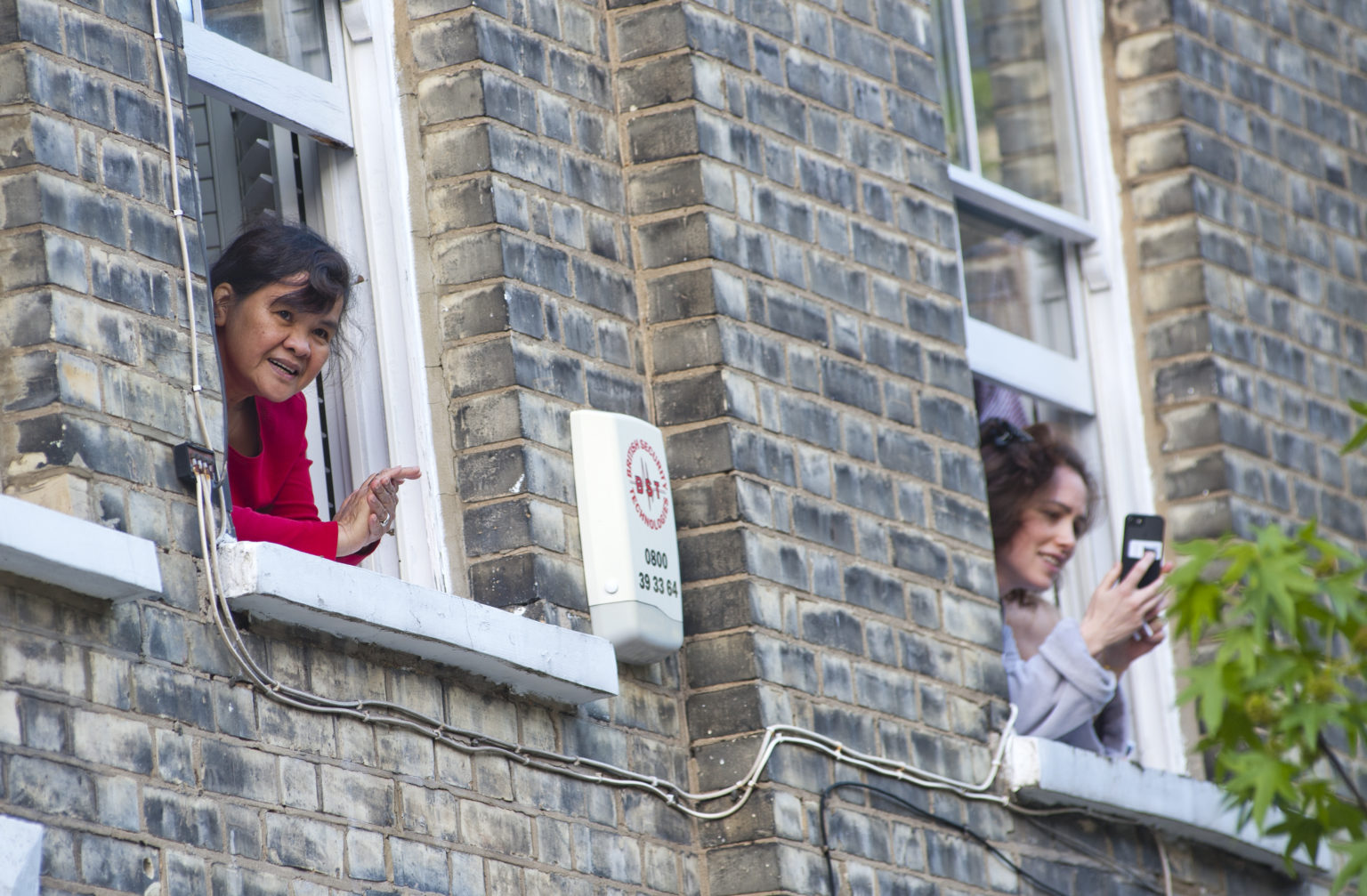 Bonnington Square Garden | The Pleasure Garden and Paradise Project