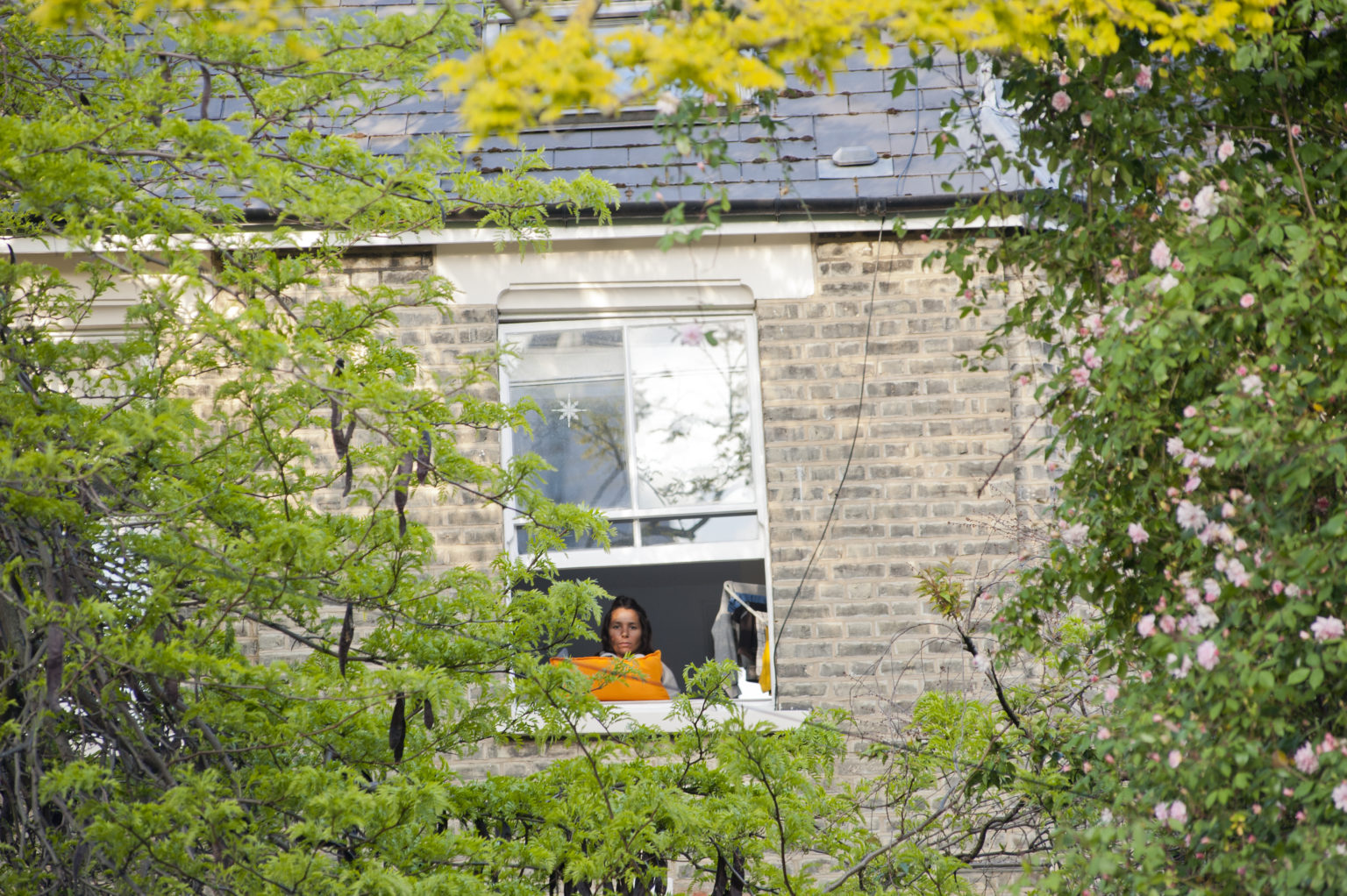 Bonnington Square Garden | The Pleasure Garden and Paradise Project